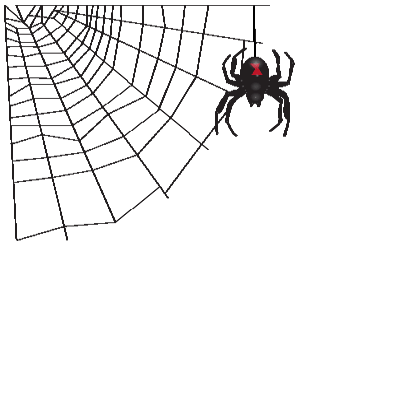 _24_transparent-spider-gif_spider-web-gifs-get-the-best-gif-on-gifer ...